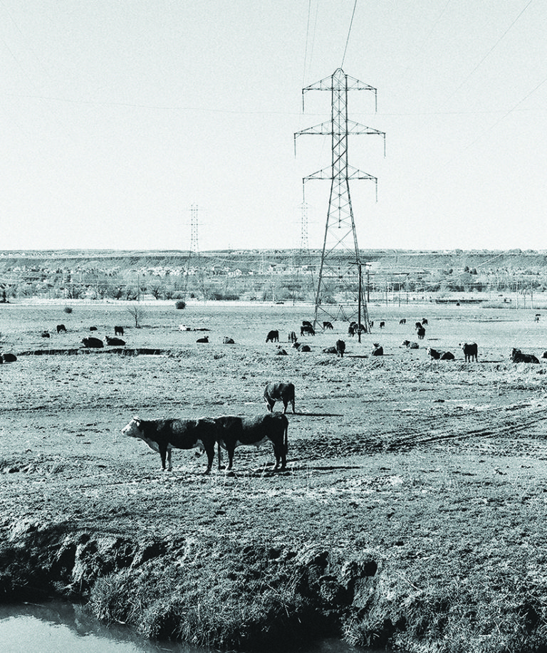 Building a Legacy at Harris Ranch - TERRITORY Magazine